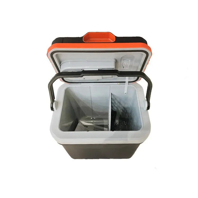 Thermoelectric Mini Cooler Camping Fishing Cooler And Warmer Portable ...