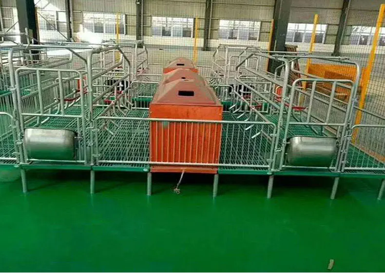 Steel 304 Trough Sow Feeder Using In Farrwoing Crate Pig Feeder Sow ...