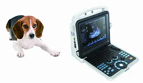 Ecografo Veterinarios Eco 5 Vet Multiparametro Veterinarios Medical ...