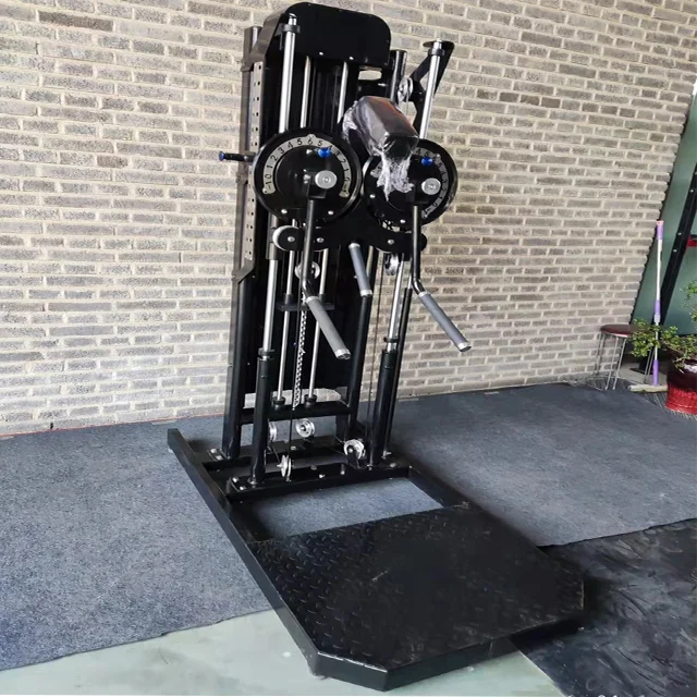 Standing Lateral Shoulder Raise Standing Multi Flight Machine - Buy ...