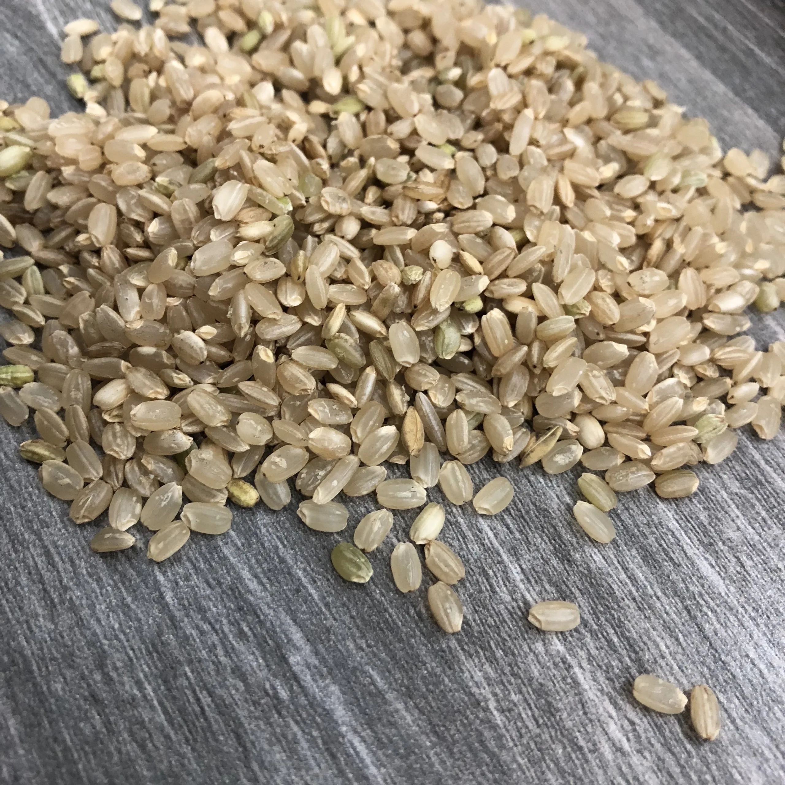 Brown Rice Best Quality Brand Manufacturer From Vietnam Custom Logo ...
