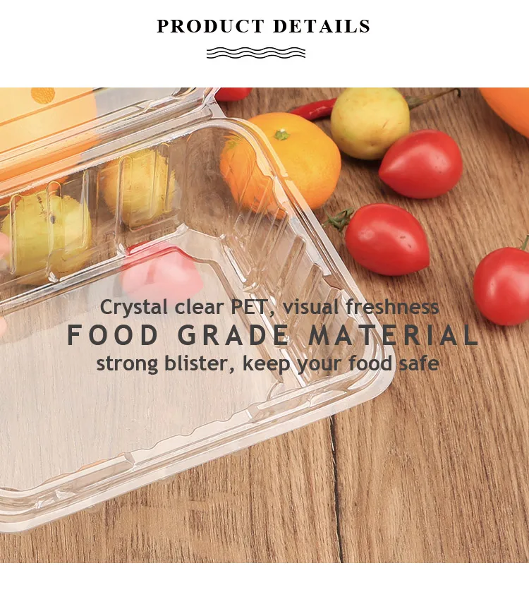 Fruit Box Container 500g Disposable Food PET Transparent Customized BT ...