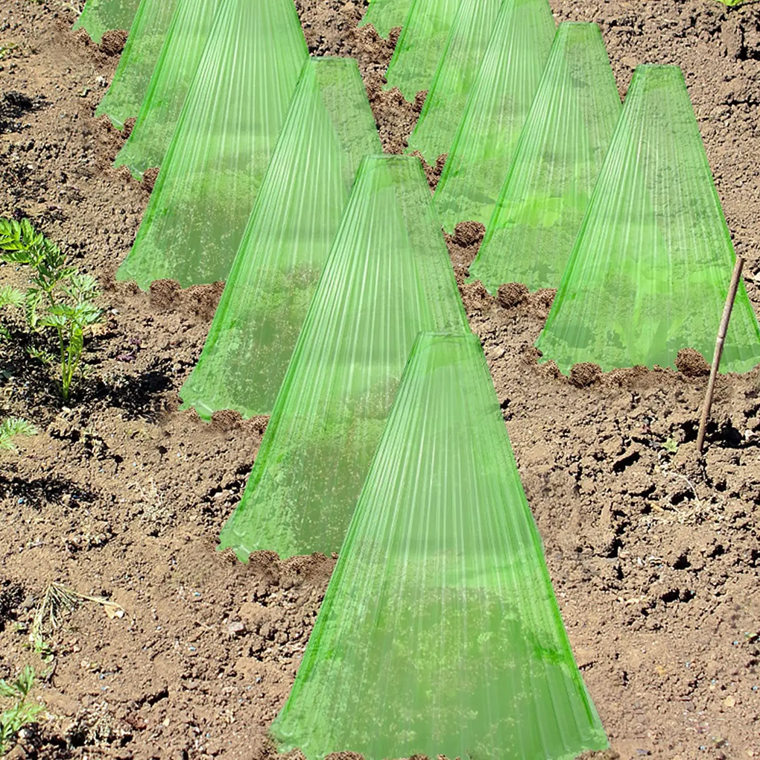 Plant Covers Protection - Durable, Reusable Greenhouse Bell Jars