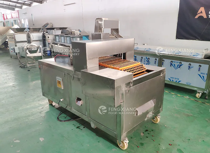 Industrial Commercial Cherry Destone Machine - FENGXIANG