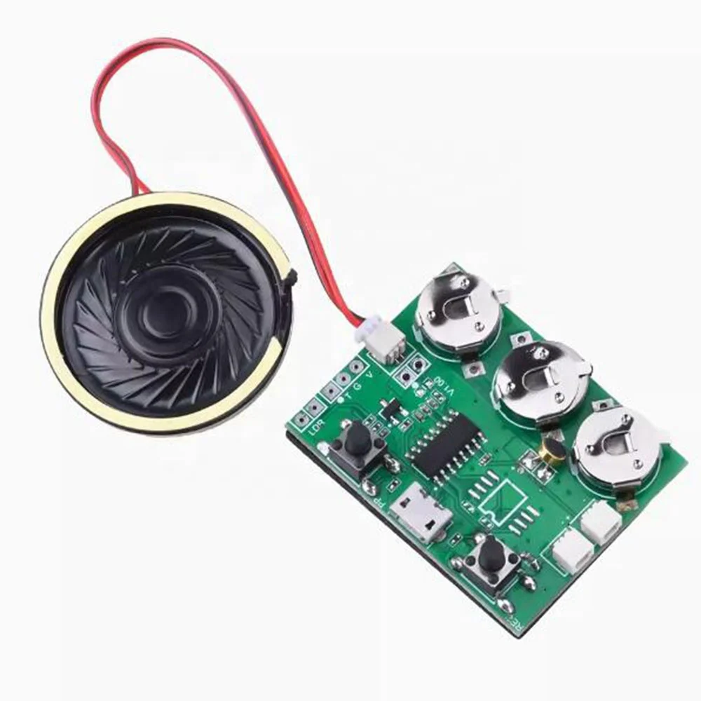 Taidacent 100 Seconds Diy Greeting Card Chip Recordable Voice Sound ...