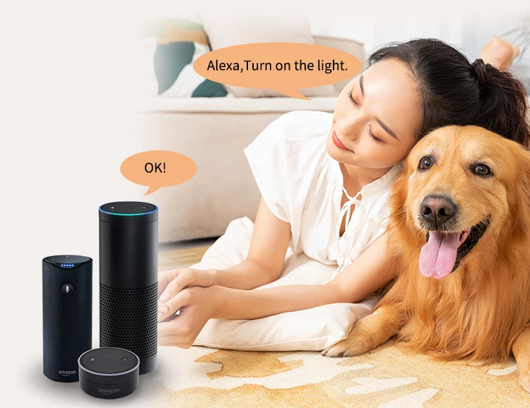 Wifi Switch Home Automation - Buy Smart Switch Low Voltage,Smart Wall ...