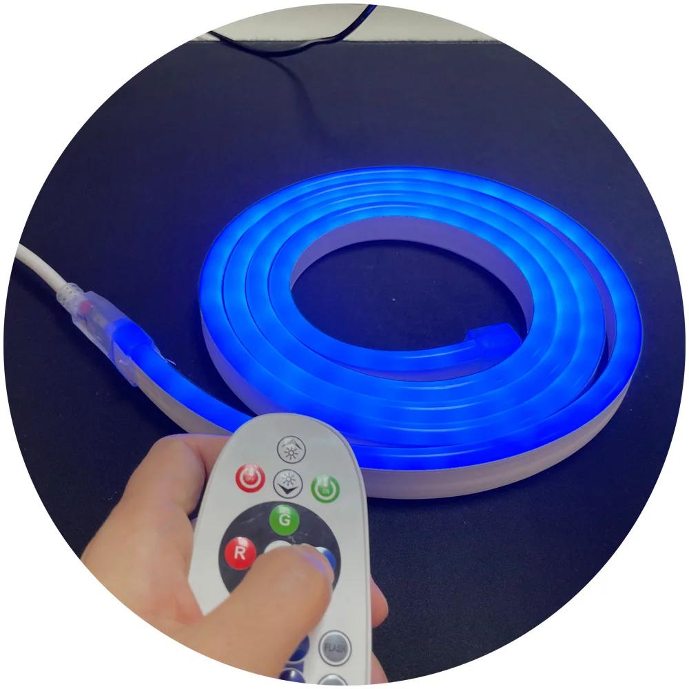 100m Roll 10x20mm RGB AC220V AC110V 1M Cuttable Soft PVC Neon Strip ...