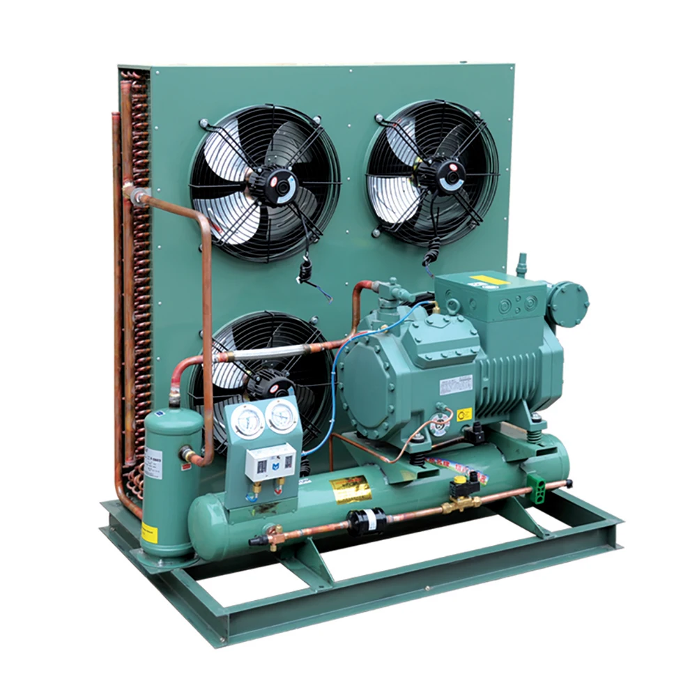 Walk in Cold Room Compressor 12HP - Reliable Refrigeration