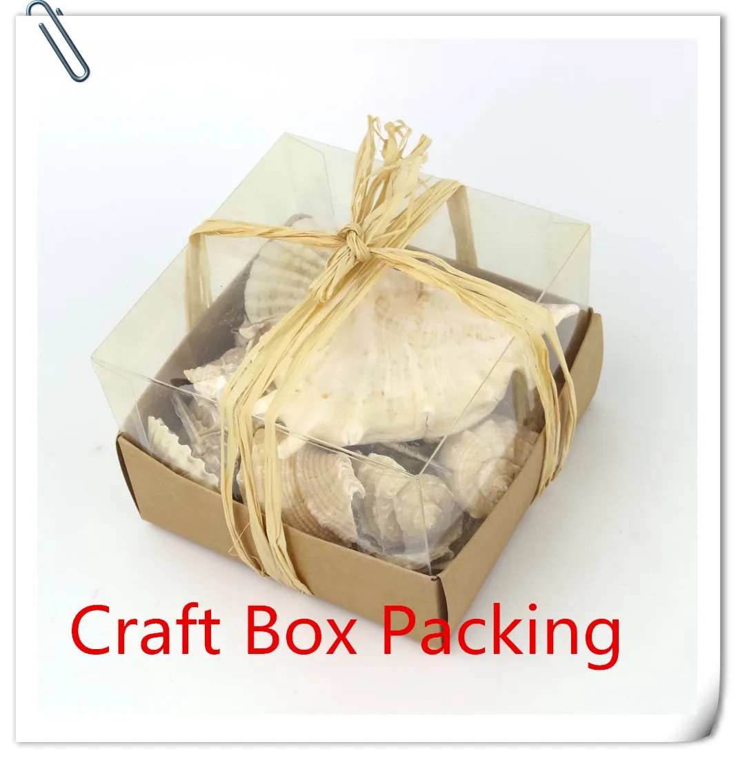 Single Shells Or Assorted Sea Shell Natural Packed By Net Bag Or Kraft ...