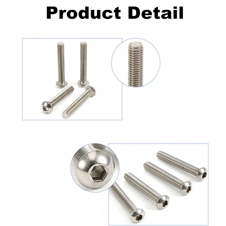 Stainless Steel Plain Socket Round Mushroom Hex Head Button Screws M3x8 ...