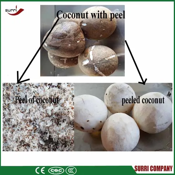 Old Brown Coconut Paring Knife - Buy Coconut Paring Knife,Brown Coconut ...