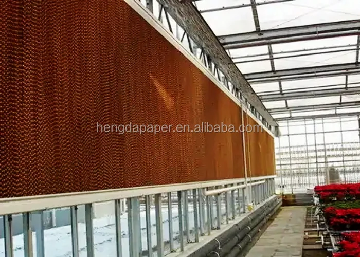 Tianhong Unbleached Brown Wet Strength Absorbent Kraft Paper Tianhong Unbleached Brown Wet Strength Absorbent Kraft Paper