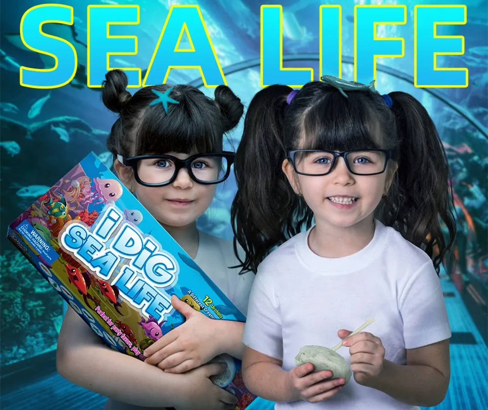 12pcs Ocean Animal Dig Excavation Kit Sea Life Dig Kit Excavation Stem ...