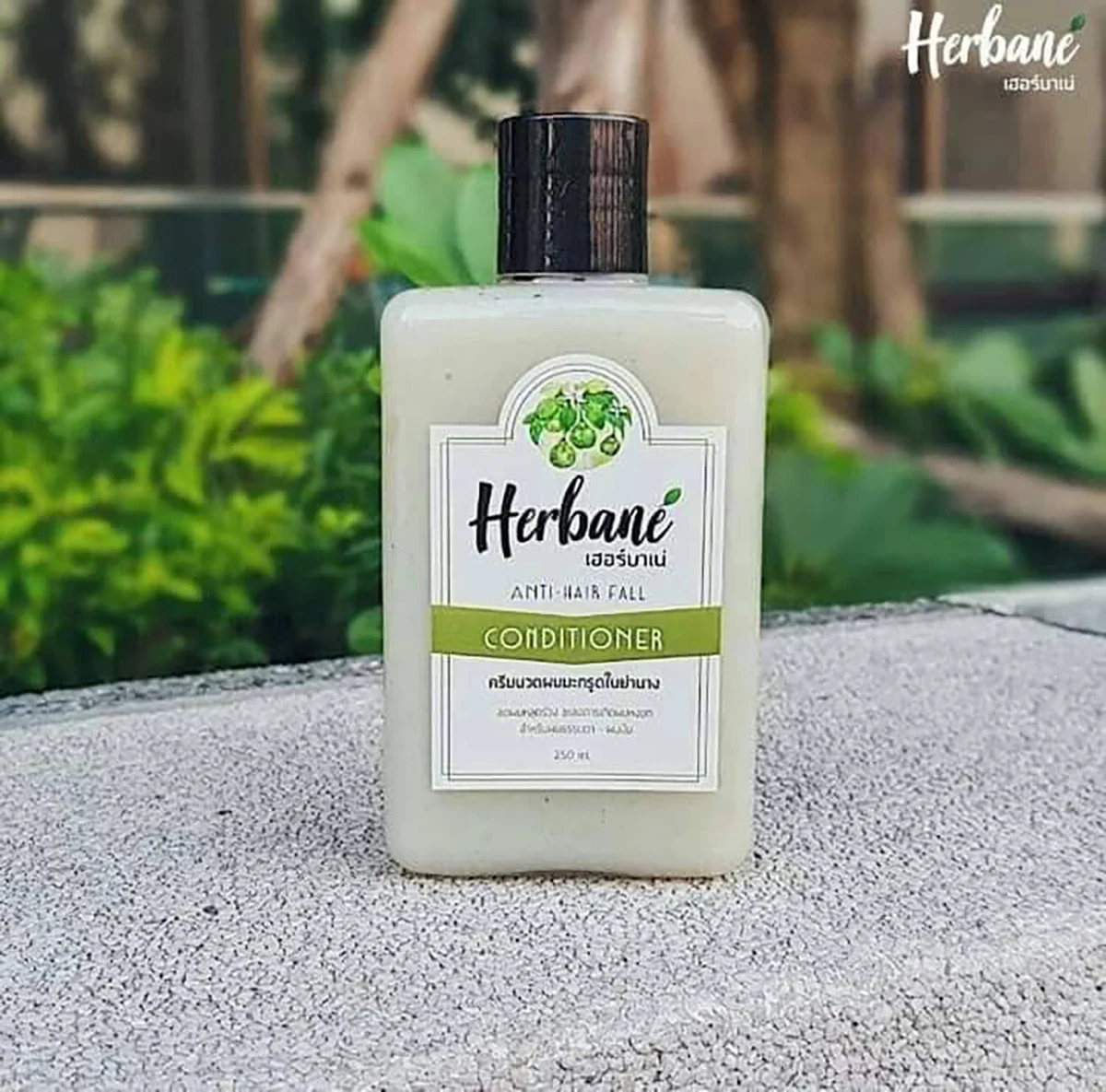 Itchy Scalp Relief Conditioner With Herbane Leech Lime & Yanang Leaves ...
