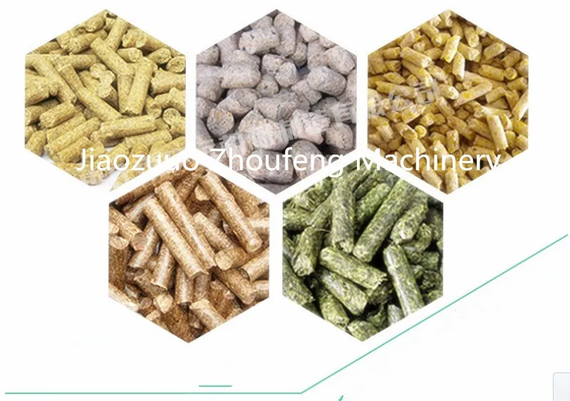 Steam Conditioner Feed Pellet Machine Thailand - ZFTOPA