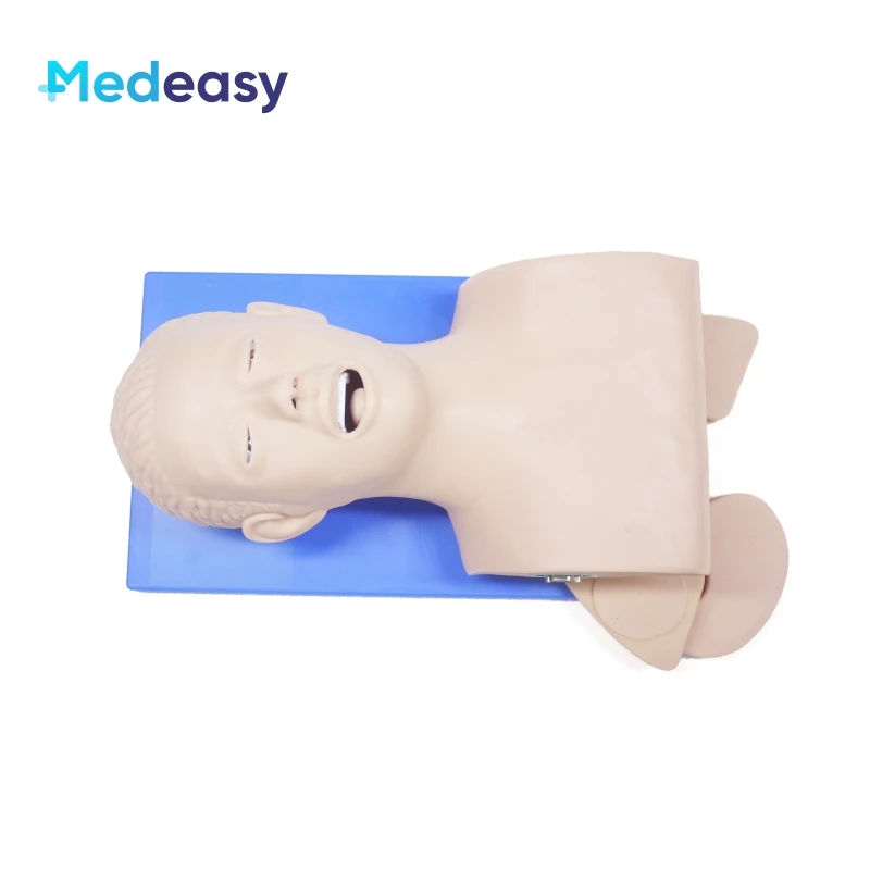 Adult Airway Intubation Training Mannequin | Realistic Medical ...