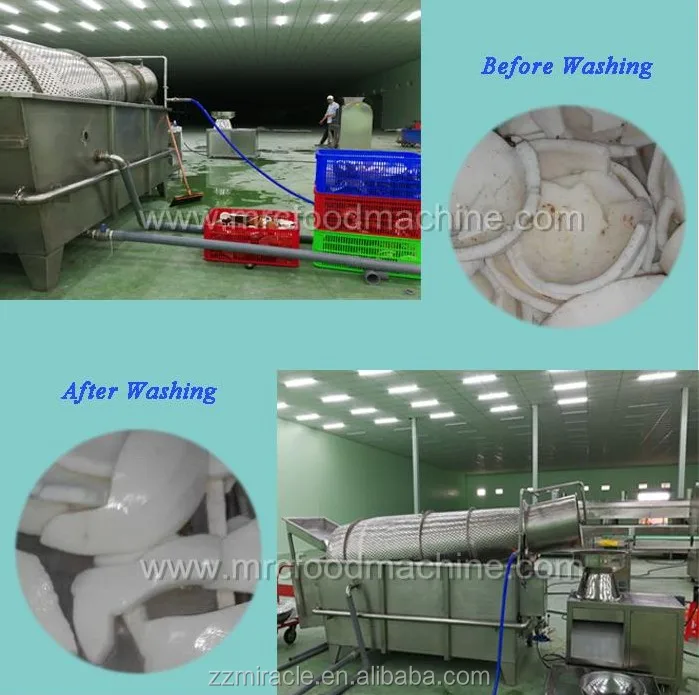 Malaysia popular Coconut Washing and Coconut Meat Crushing Machine ...