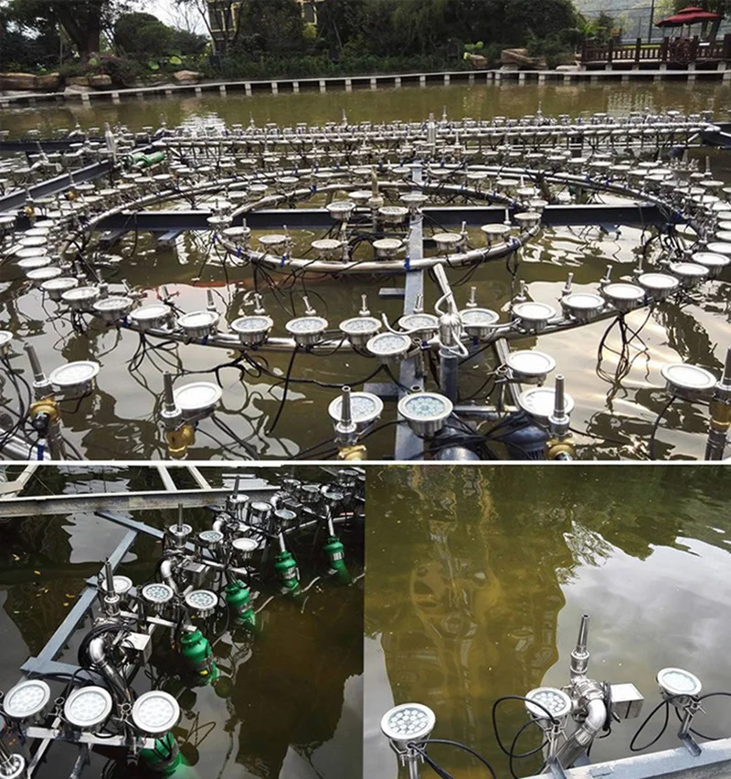 SS304 Underwater LED Lights - RGB, 24V, IP68, 80000hrs