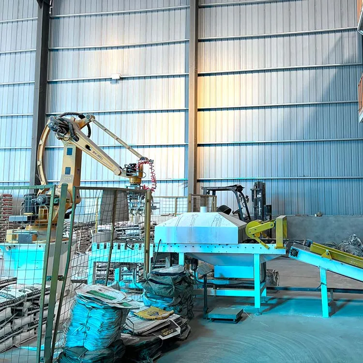 Electric Robot Arm Stacker Palletizer Automatic Double Station ...