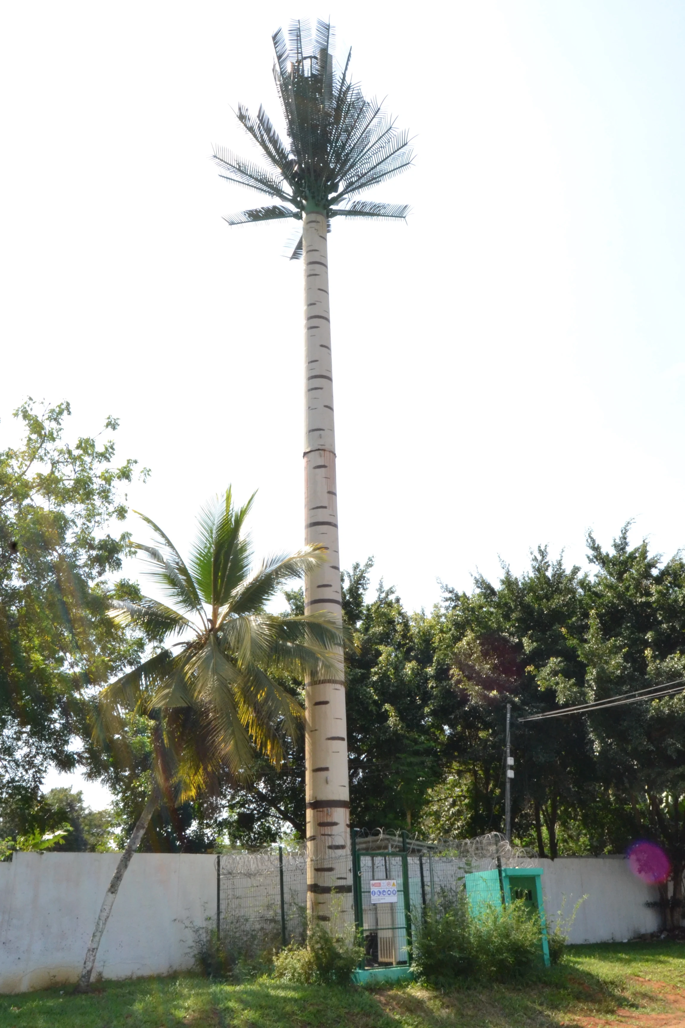 Steel Monopole Camouflage Palm Or Pine Tree Telecom Antenna Tower - Buy ...