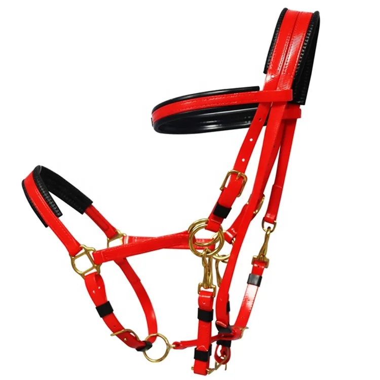 Horse Bridles Horse Racing Driving Western Saddle Cg-eb022 Standard 50 ...
