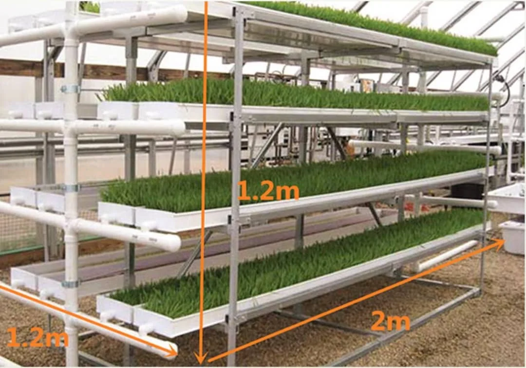 Vertical Hydroponic Microgreen Trays Grow System