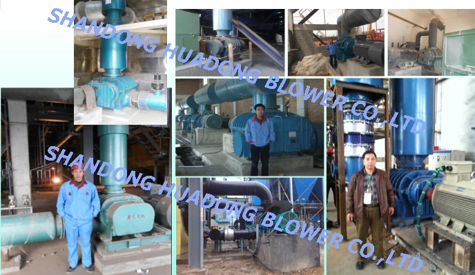 Power Plant Oxidation Roots Blower Flue Gas Blower