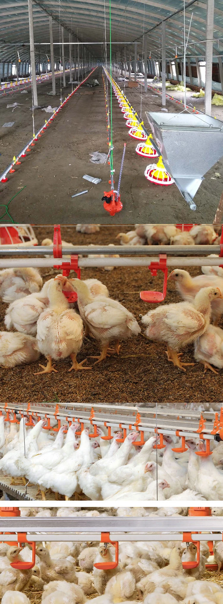 Poultry Nipple Drinking System - Efficient Water Line