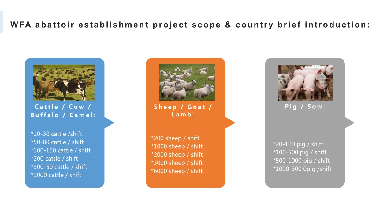 Slaughtering Equipment - Efficient Beef Processing Line