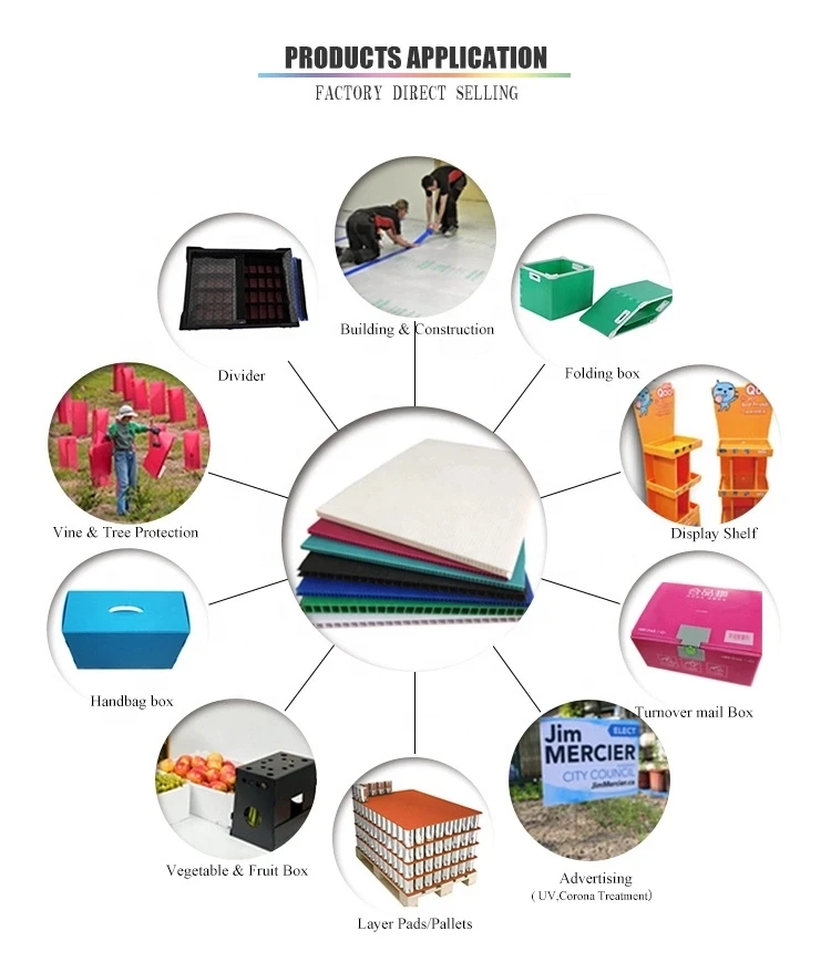 Chloroplast Plastic Board - Educational Model & Signage
