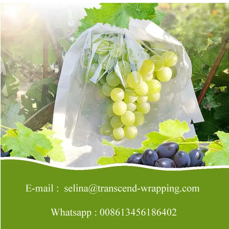 Grape Growing Protection Paper Bag Waterproof Micro Perforated - Buy ...