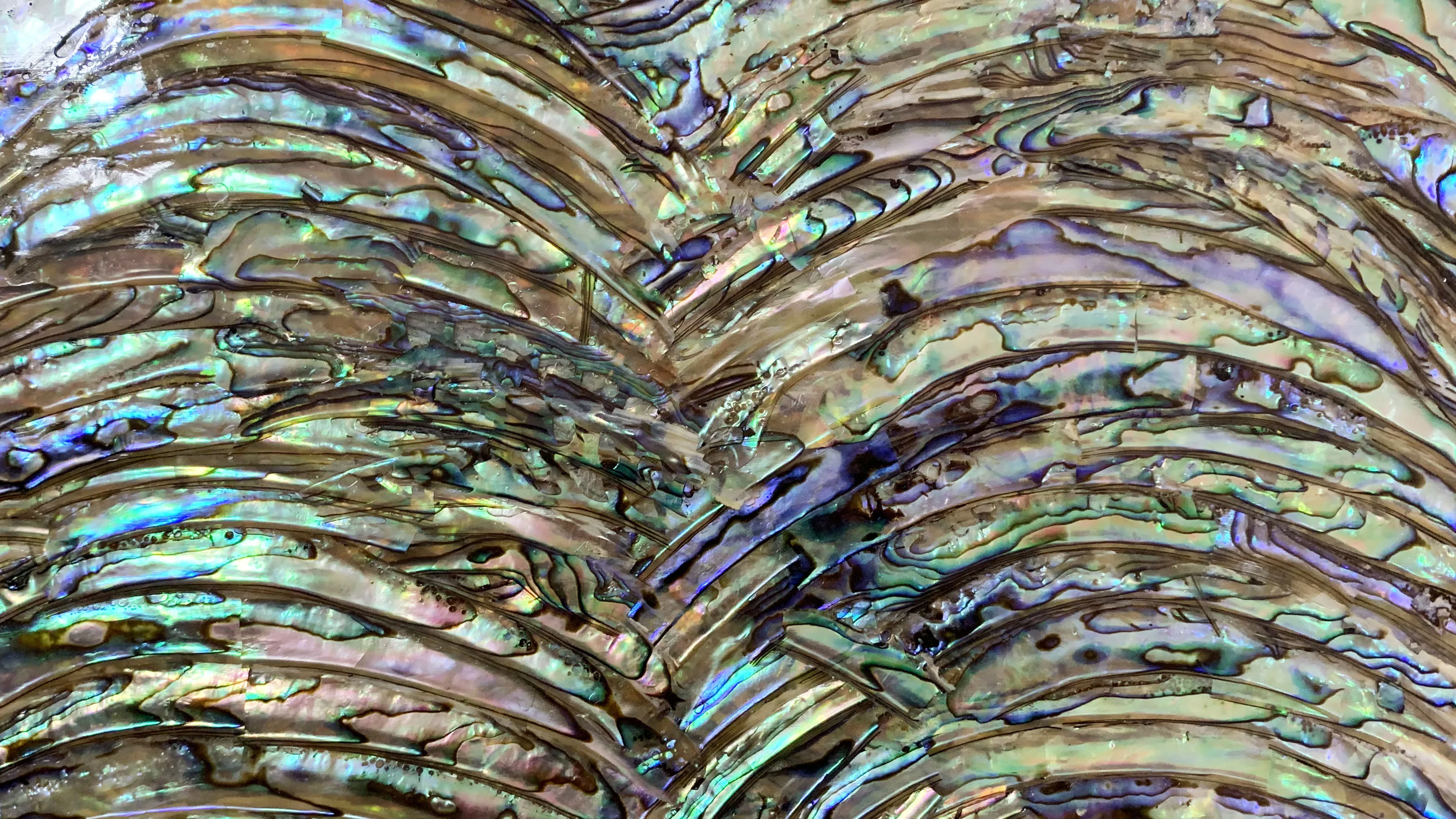 New Zealand Abalone Veneer Mother Of Pearl Sheet Black Mop Shell Sheet ...