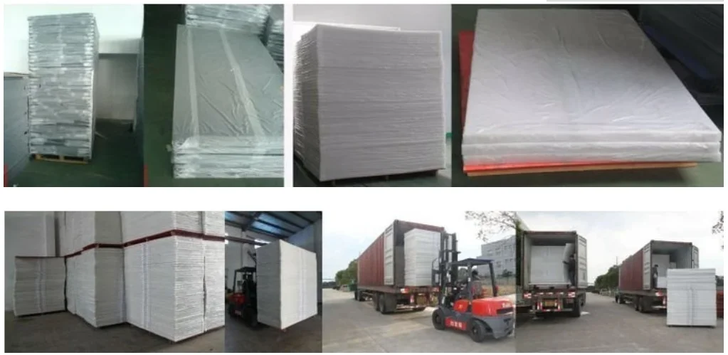 Chloroplast Plastic Board - Educational Model & Signage