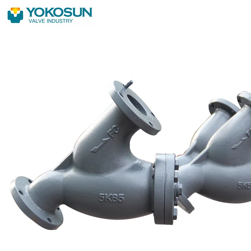 JIS F7220 5K&10K CAST IRON Y STRAINER - Durable & Efficient