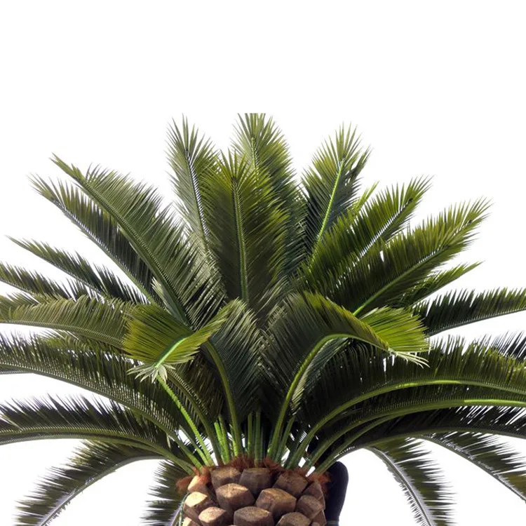 Artificial Fake Fan Palm Tree Leaves Barhi Date Palm Tree In Saudi ...