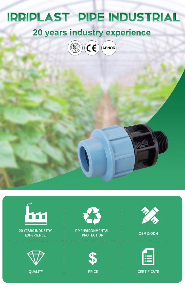 DN20-110 HDPE Pipe Compression Fittings - Reliable Water Supply