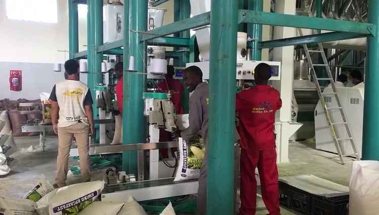 Hongdefa Lager Capacity Maize Processing Machine