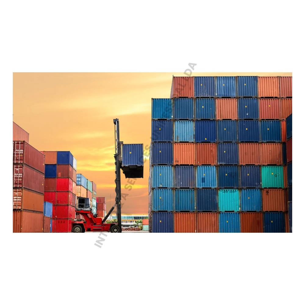 Supervision Service Professional Container Container Loading Inspection ...