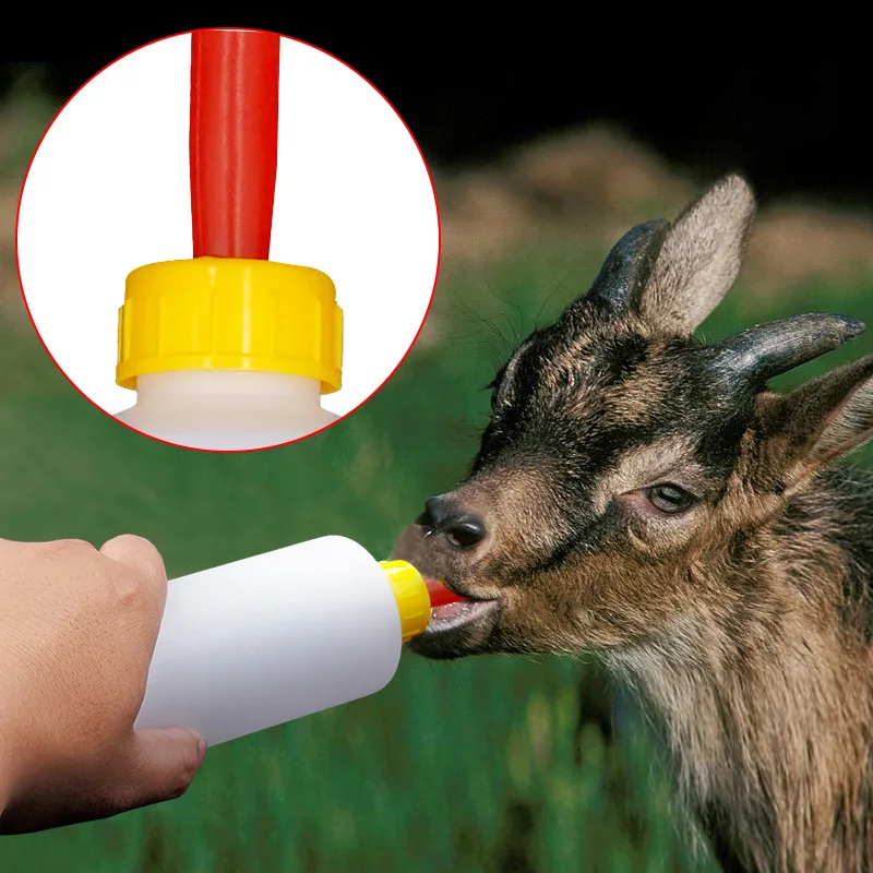 400ML Premium Lamb Baby Bottle - Safe and Durable Feeding