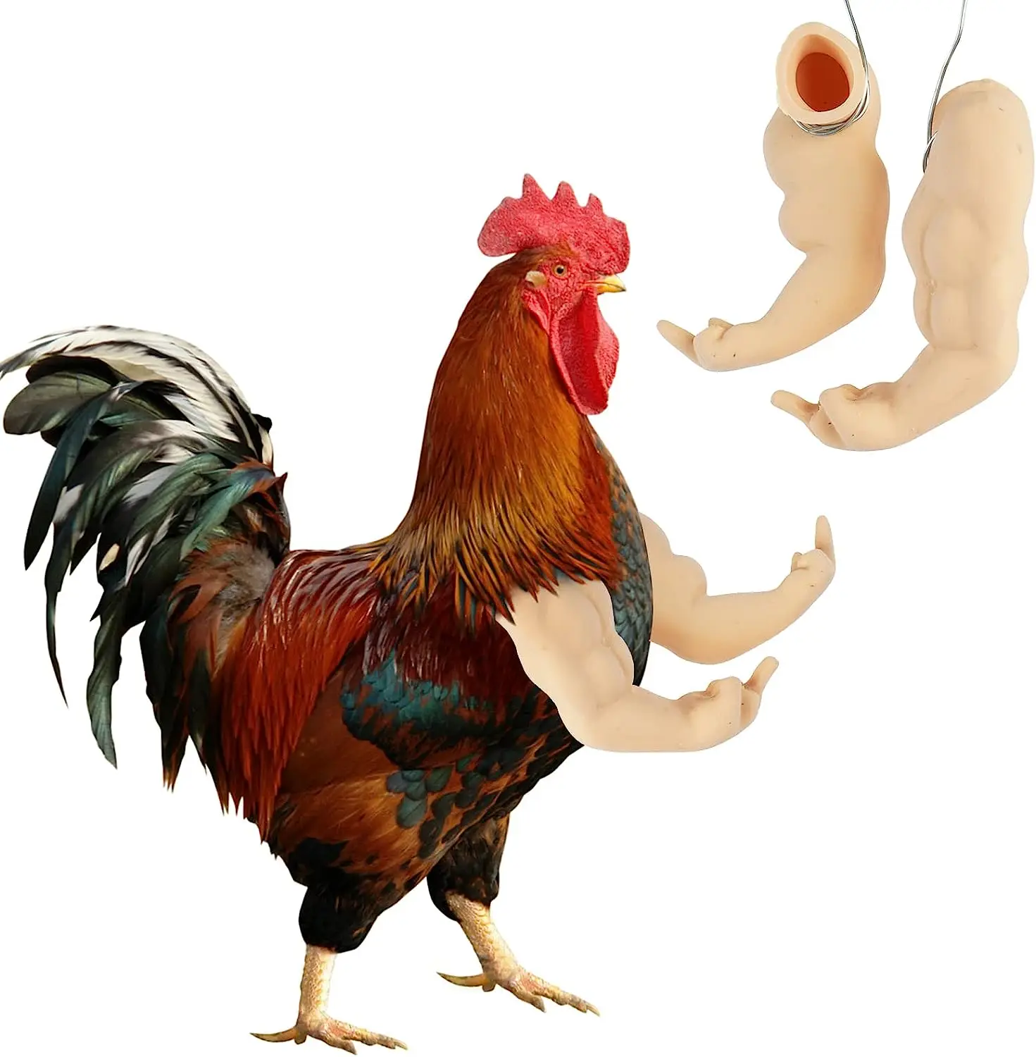 Fighting Chicken Muscle Arm Prank Toy Dinosaur Claw Vertical Middle ...