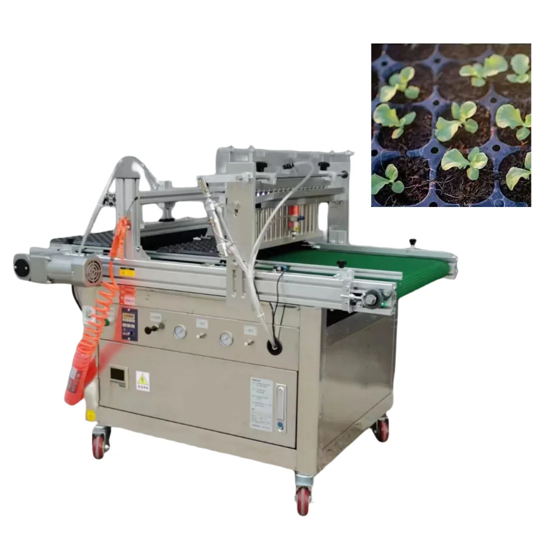 Tray Seeding Machine - Efficient and Precise Sowing