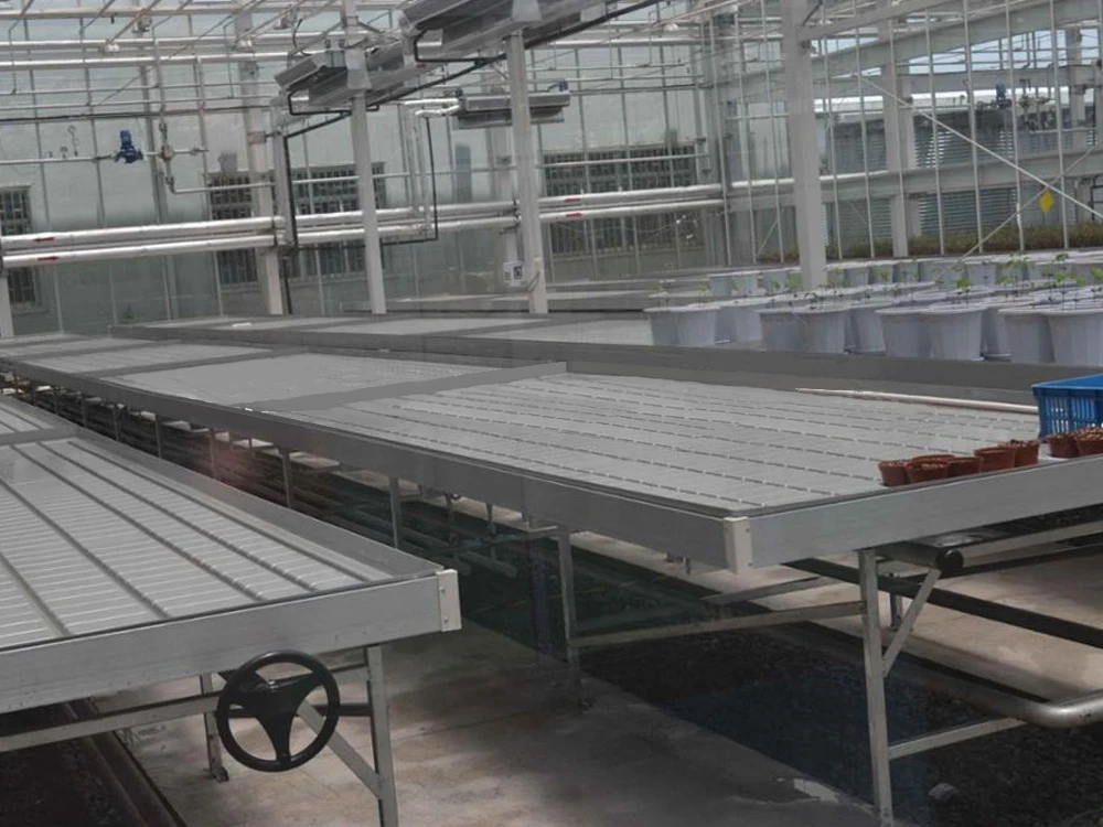 Skyplant Greenhouse Hydroponic Rolling Bench System
