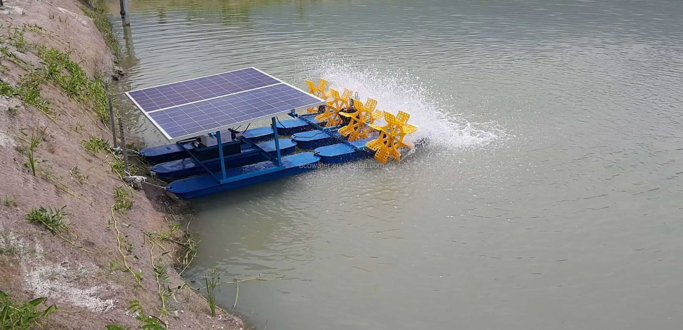 Ecoaquaculture Solar Paddle Wheel Aerator for Small Ponds - 2HP Energy ...