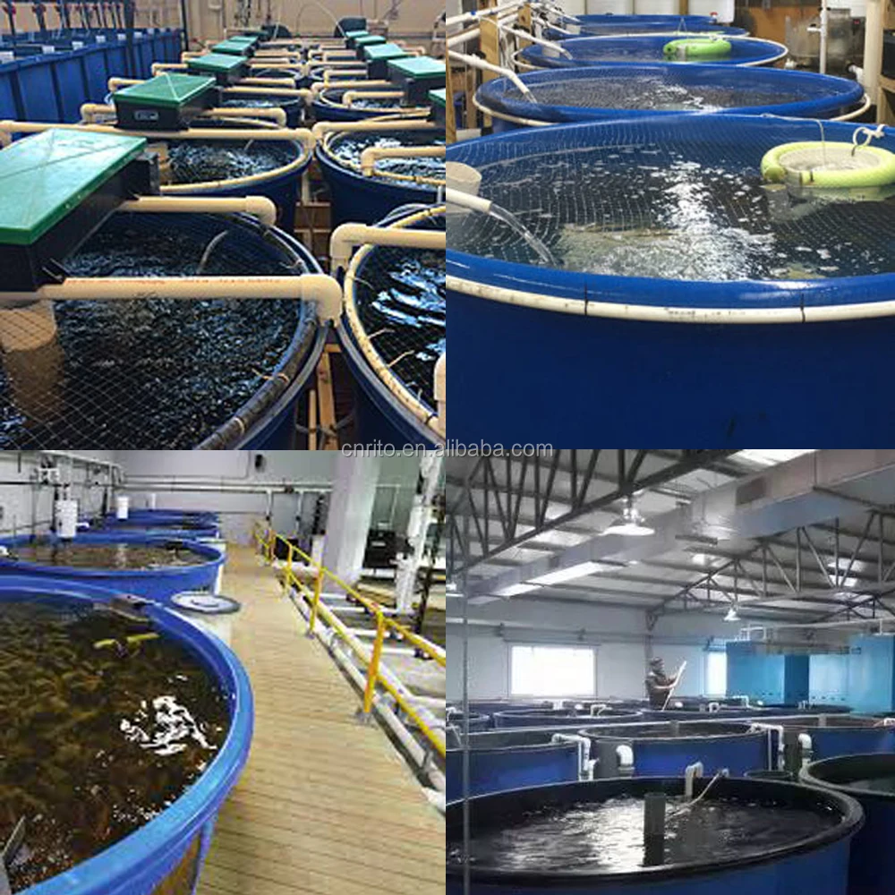 Original Manufacturer Open Top Rectangular Fish Farming Tanks