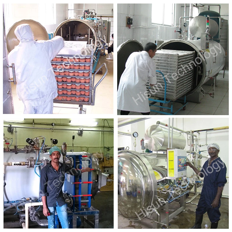 Small Scale Cooking Retort Sterilizer - Buy Laboratorty Retrot,R&d ...