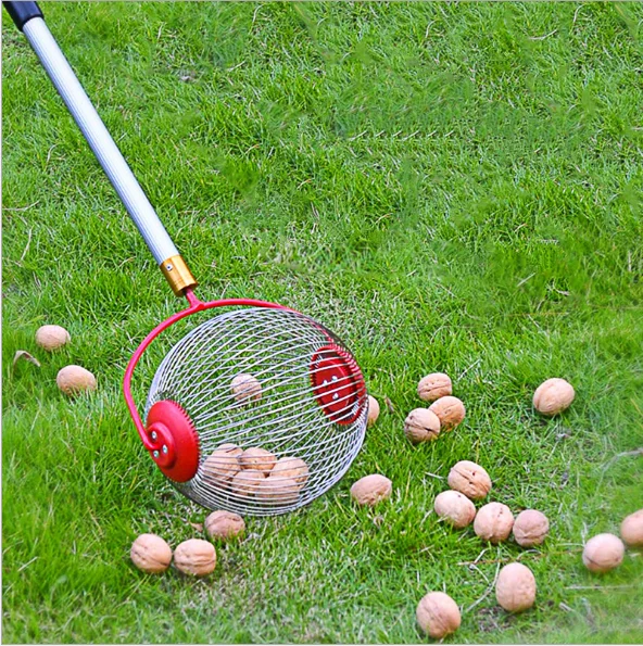 Nut Collector Fruit Picker Garden Tool Pick Up Walnuts Pick Up Chestnut ...
