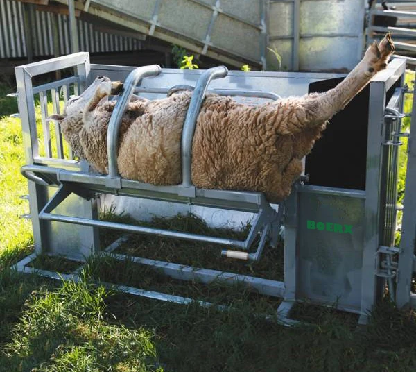 Livestock Farming Equipment Sheep Catcher Rollover Crush Sheep Turnover ...