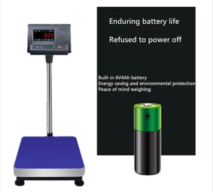 300kg A12E Indicator Platform Scale - Precision Weighing