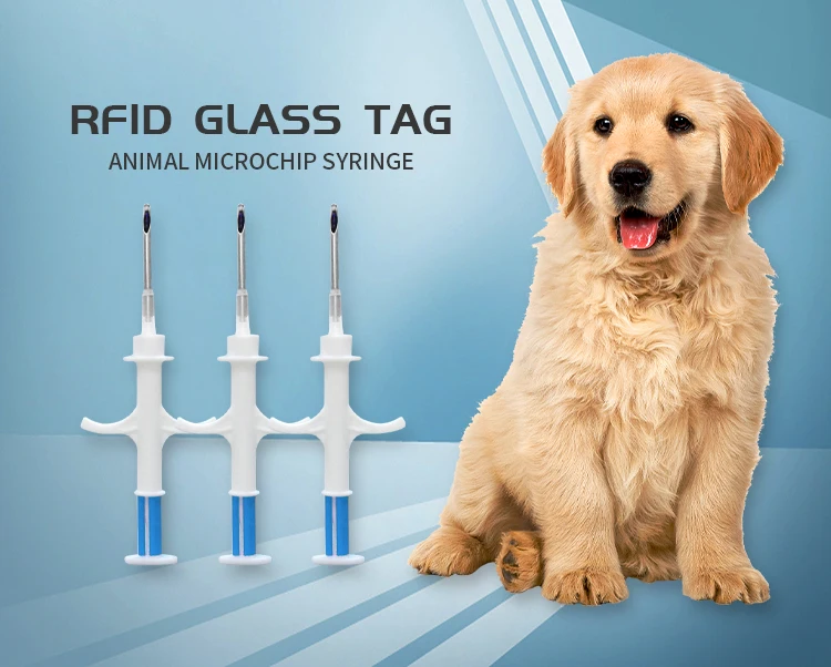 Capsule RFID injecteur en verre 2.12x12mm, 10 pièces, transpondeur de ...