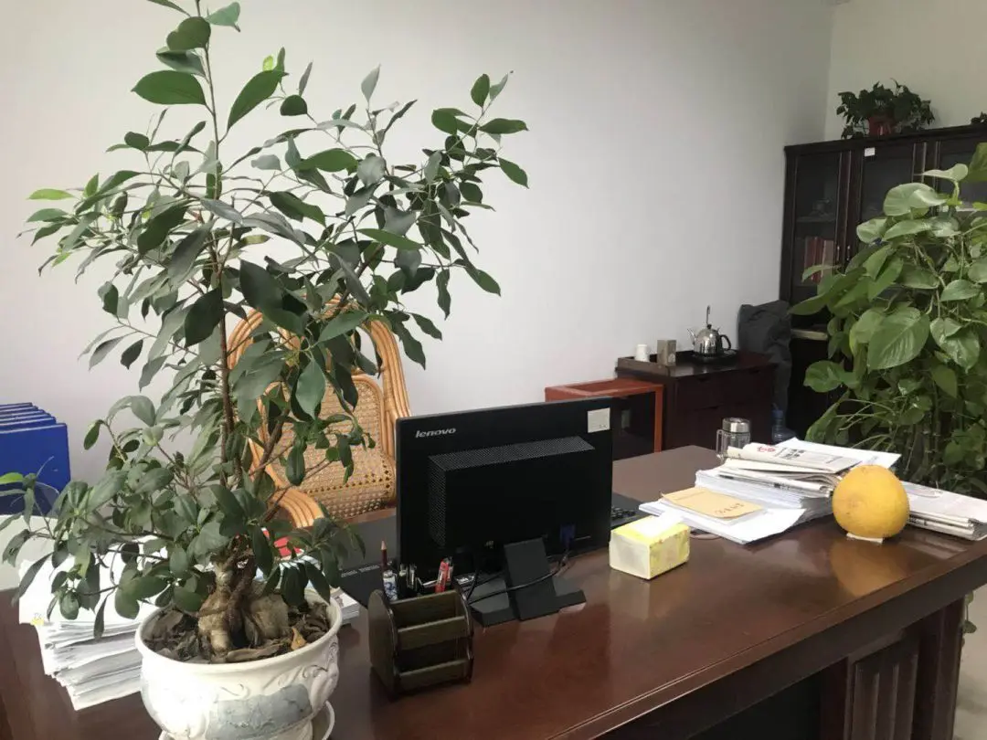 Nokia Rru Fxeb Azna Ahdb Ahhb Frhf Frmf Arha Rru Fxed Fedb Fxef Frgu ...